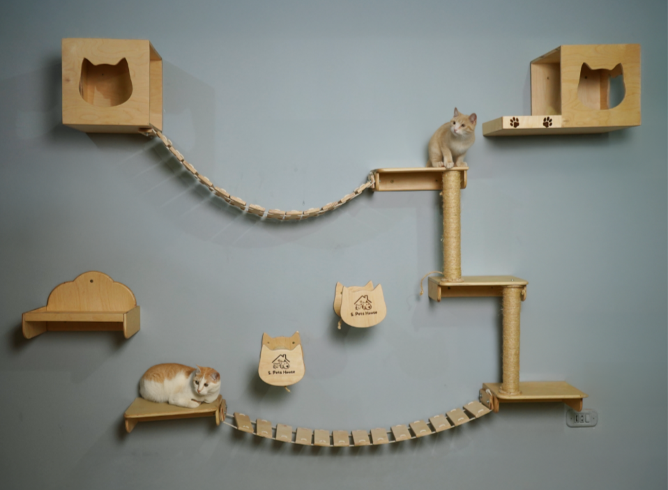 CAT climbing wall , CAT wall shelves, Cat Playground including stairs ...